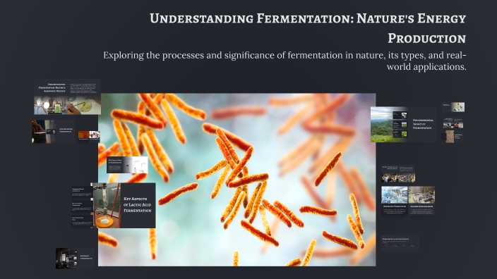 Understanding Fermentation: Nature's Energy Production by Ayushee ...