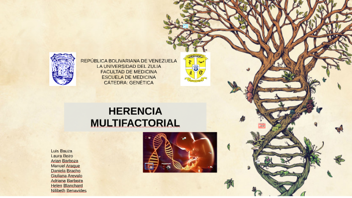 HERENCIA MULTIFACTORIAL by Laura Bozo on Prezi
