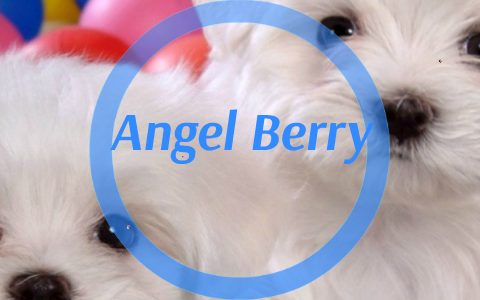 Angel Berry by Angel Berry on Prezi