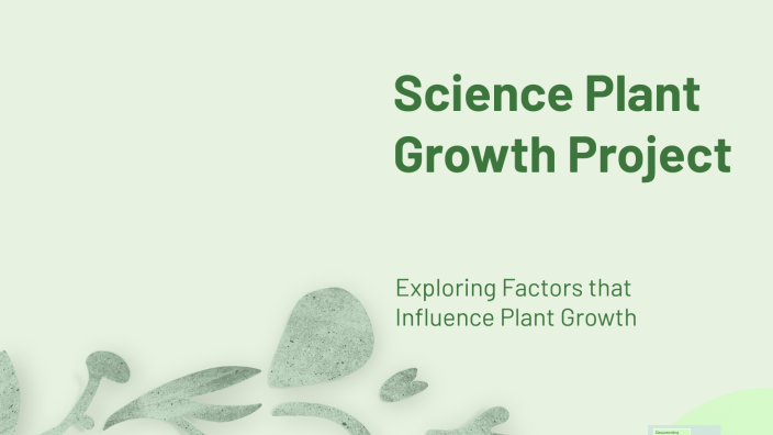Science Plant Growth Project by Morgan Murphy on Prezi
