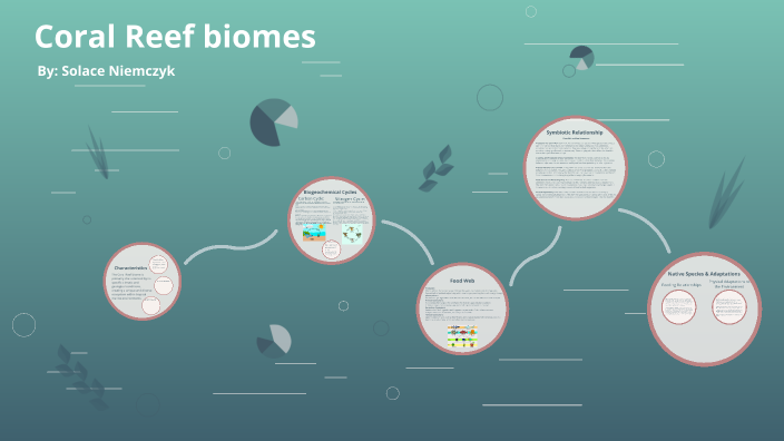 13 Evaluate: Biomes—Graded Assessment by Solace Niemczyk on Prezi