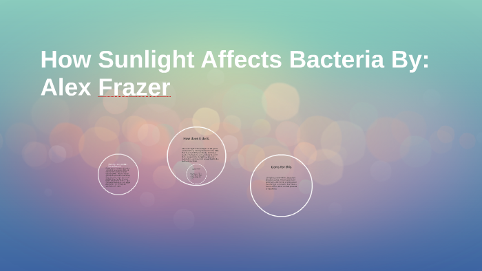 How Sunlight Affect Bacteria by Alexander Frazer on Prezi