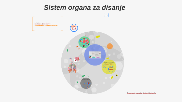 Sistem organa za disanje by merjem becirovic on Prezi