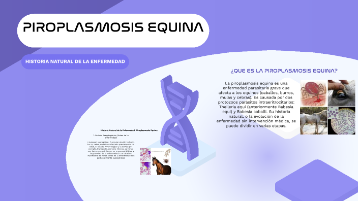 PIROPLASMOSIS EQUINA by Carlos Iván Osorio Cuellar on Prezi