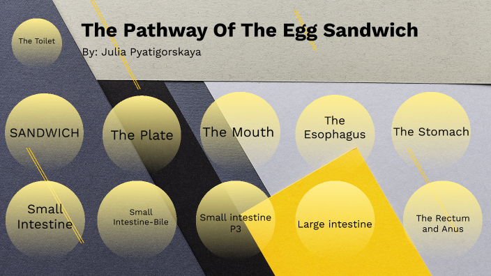 The Pathway of the Egg Sandwich by Julia Pyatigorskaya on Prezi