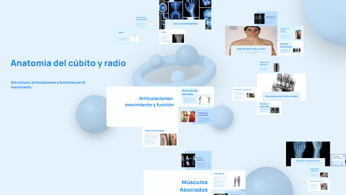 Anatomía del cúbito y radio by JOSE ANTHONY CHAVEZ MORENO on Prezi