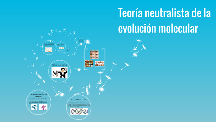 Teoría neutralista de la evolución molecular by Raquel Garcia Rodriguez