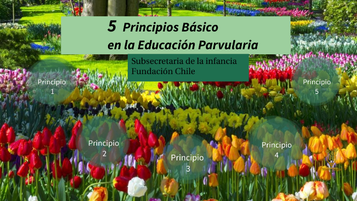 cinco principios basicos by ALIN MURILLO SANTIBANEZ . on Prezi