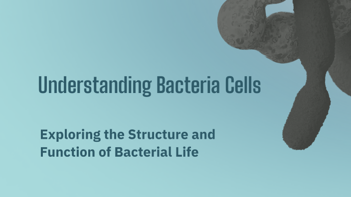 Understanding Bacteria Cells by James Roveto on Prezi