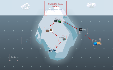 The Pacific Ocean Food Web by Jevan Wesse on Prezi