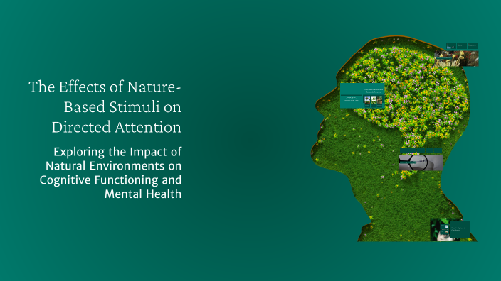 The Effects of Nature-Based Stimuli on Directed Attention by Bahadır ...