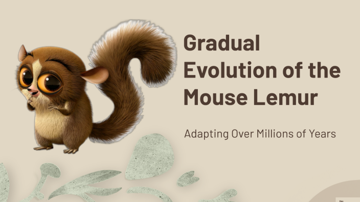 Gradual Evolution of the Mouse Lemur by Elsadig Leen on Prezi