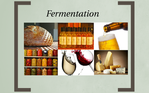The History of Fermentation by Lauren Watt on Prezi