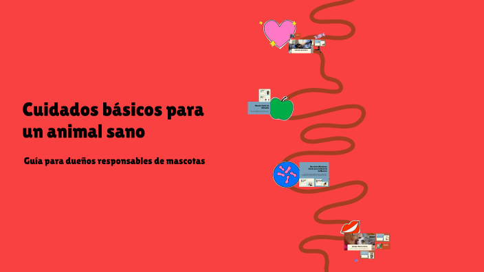Cuidados básicos para un animal sano by Roberto Mesen on Prezi