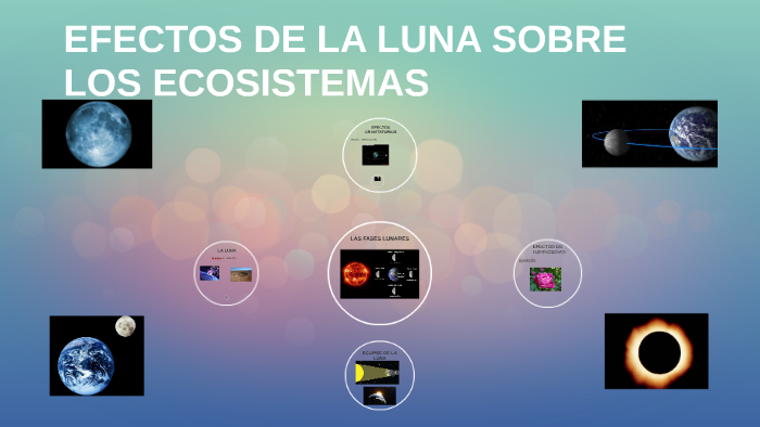 EFECTOS DE LA LUNA SOBRE LOS ECOSISTEMAS by Diana Romero Carrillo on Prezi