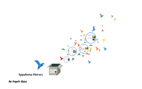 Appaloosa Horses by angelic nunn on Prezi