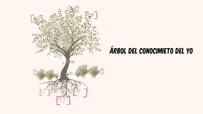 Árbol del conocimieto del YO by sam c on Prezi