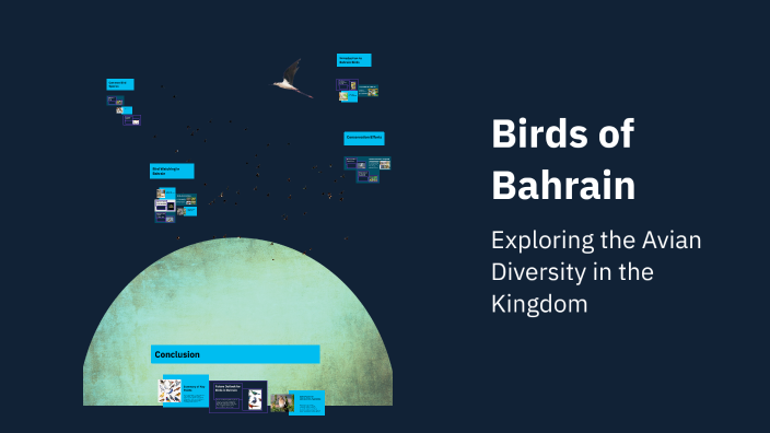 Birds of Bahrain by Mahdi Ahmed on Prezi
