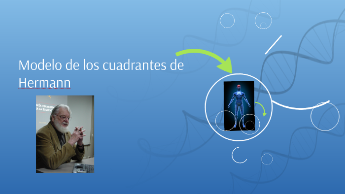 Modelo de los cuadrantes cerebrales de Hermann by Andrés Castro on Prezi