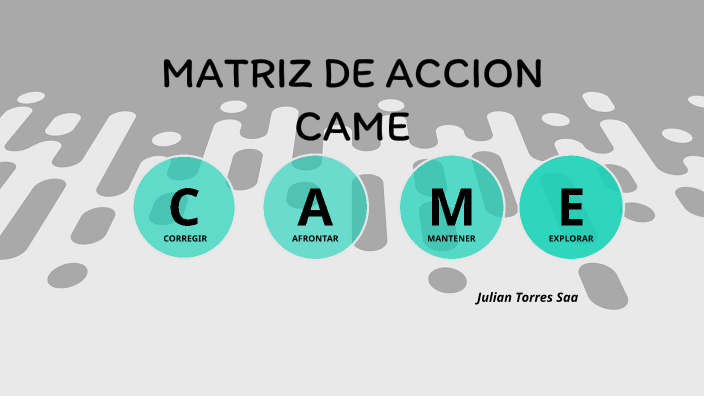 MATRIZ DE ACCION CAME by Julian Torres on Prezi
