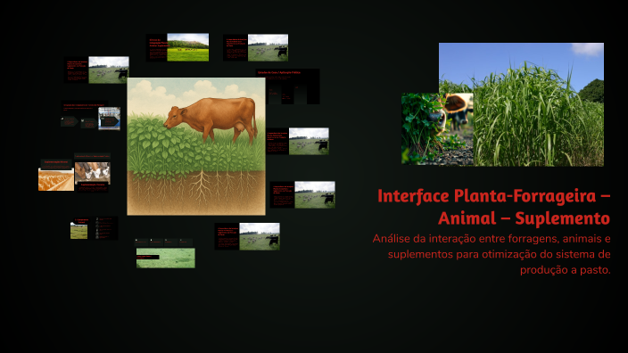 Interface Planta-Forrageira – Animal – Suplemento by Delma Silva on Prezi