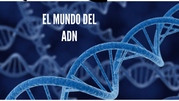 EL MUNDO DEL adn by Erika Velasco on Prezi