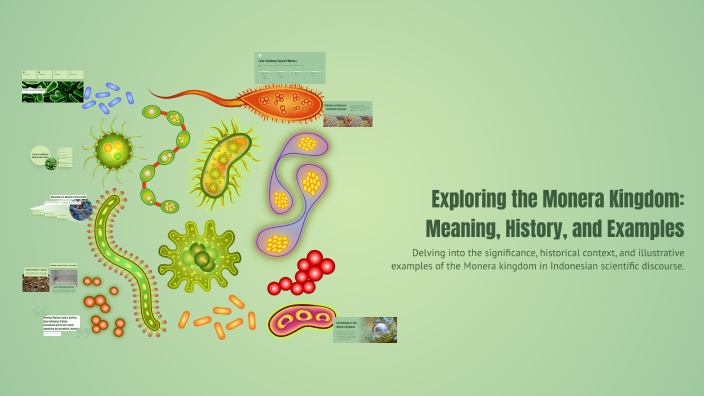 Exploring the Monera Kingdom: Meaning, History, and Examples by akhtar ...