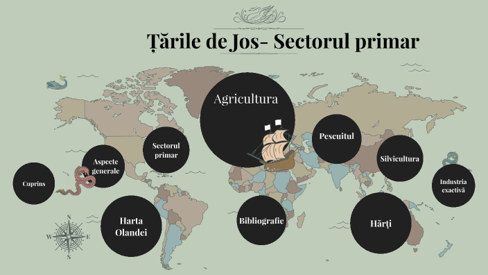 Țările de Jos - Sectorul primar by Ioana Duţu on Prezi