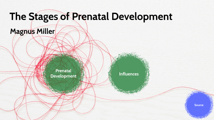 The Stages of Development by Magnus Miller on Prezi