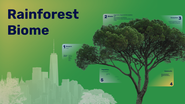 Rainforest Biome by Ashlyn Stoddard on Prezi