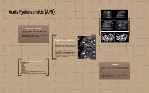 Acute Pyelonephritis by Kate Plichta on Prezi