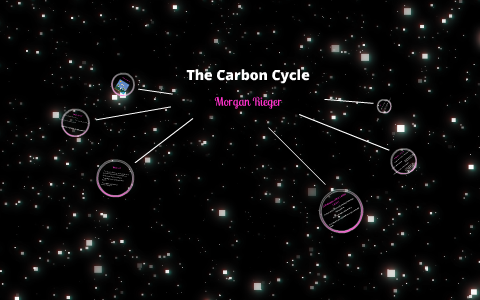 The Carbon Cycle by morgan rieger on Prezi