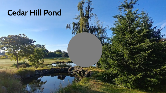 Plot Study by Chris Stander on Prezi