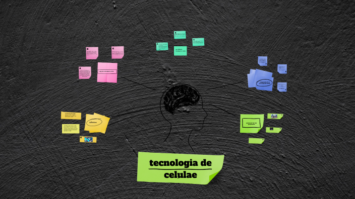 nivelacion by Cristian camilo Gamez rodelo on Prezi