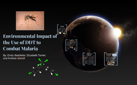 Environmental Impact of the Use of DDT to Combat Malaria by Emily ...