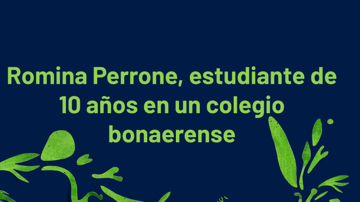 Caso de Ciberacoso Romina Perrone, estudiante de 10 años en un colegio ...