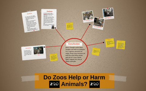 Do Zoos Help or Harm Animals? by Jenkins Elementary on Prezi