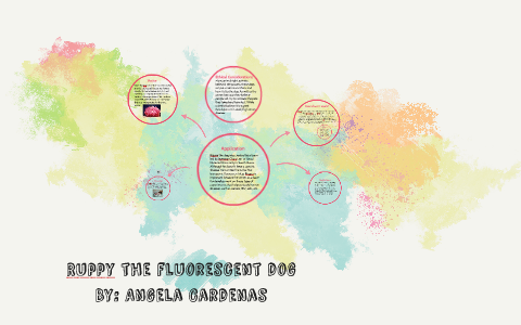 Ruppy the fluorescent dog by angela cardenas on Prezi