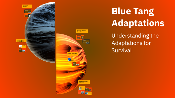 Blue Tang Adaptations by Curtis French on Prezi