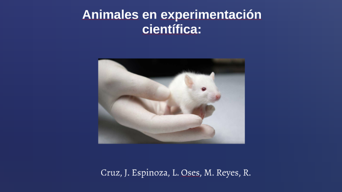 Investigación con animales by Hero Kim Manu on Prezi
