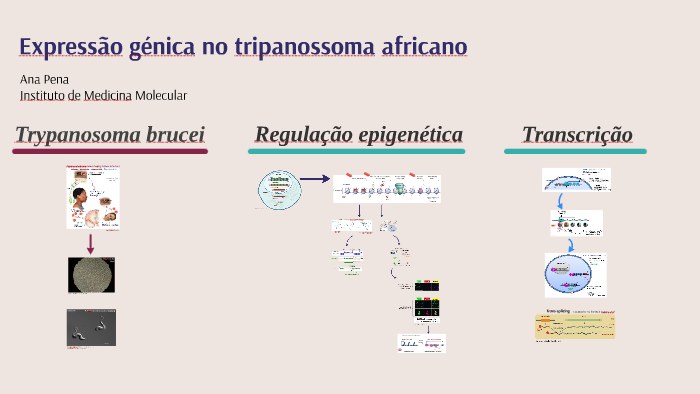 Expressão Génica by Ana Pena on Prezi