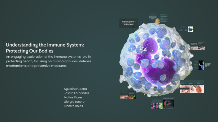 Understanding the Immune System: Protecting Our Bodies by francisco ...