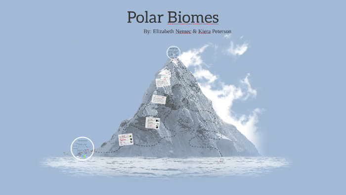 North and South Pole Biomes by Elizabeth Nemec on Prezi