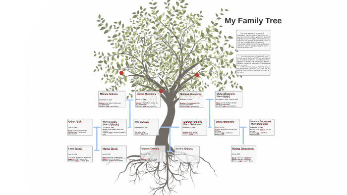 My Family Tree by Sandra Zivkovic on Prezi