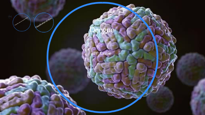 Dengue by Cassandra Roberson on Prezi