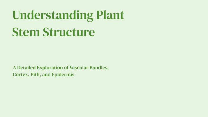 Understanding Plant Stem Structure by Erlaine Joy on Prezi