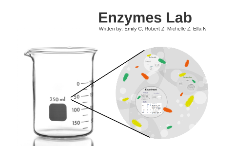 Enzymes Lab by Ella Nadeau