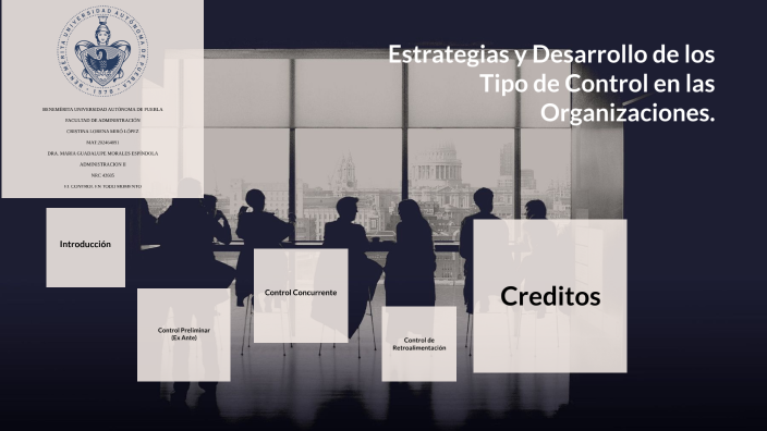 Estrategias y Desarrollo de los Tipo de Control en las Organizaciones ...