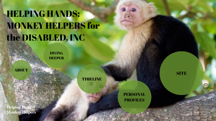 Helping Hands: Monkey Helpers by Hailey Querubin Diaz on Prezi