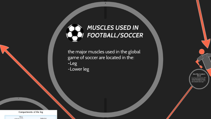 MUSCLES USED IN FOOTBALL/SOCCER + CONSEQUENCES by Caleb Johnson on Prezi